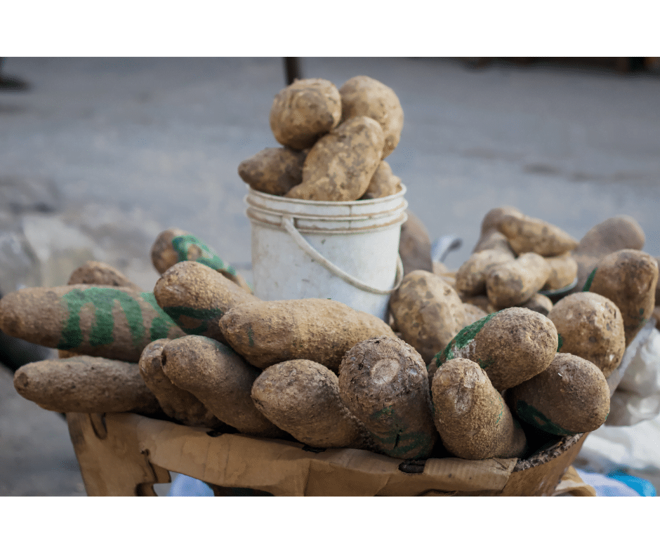 El ñame: principales beneficios de este tubérculo para la salud