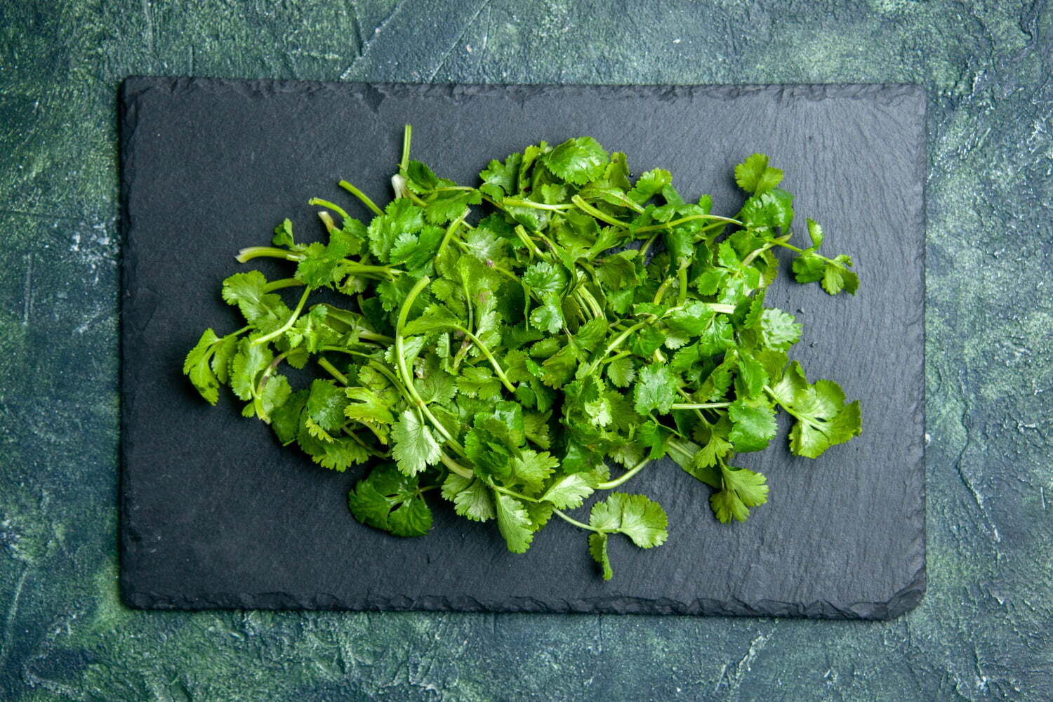 Conoce los increíbles beneficios del cilantro
